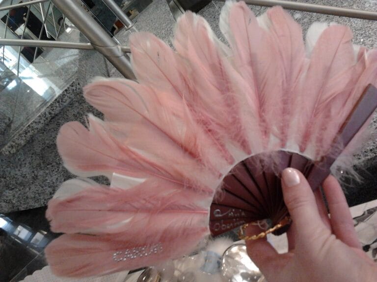 Chinese Fans: Travel Tips & FAQs 2025