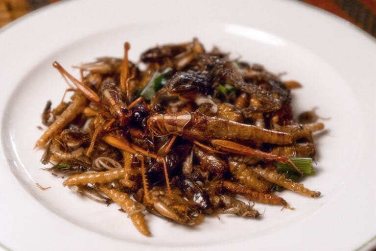 25 Weird Chinese Foods And Where To Find Them In 2026