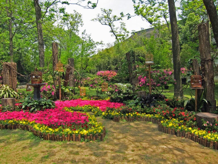 Chinese Flowers: A Complete Guide To China's Most Beautiful Blooms ...