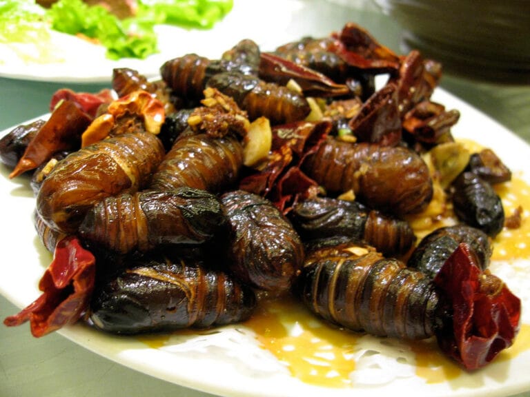 25 Weird Chinese Foods And Where To Find Them In 2026