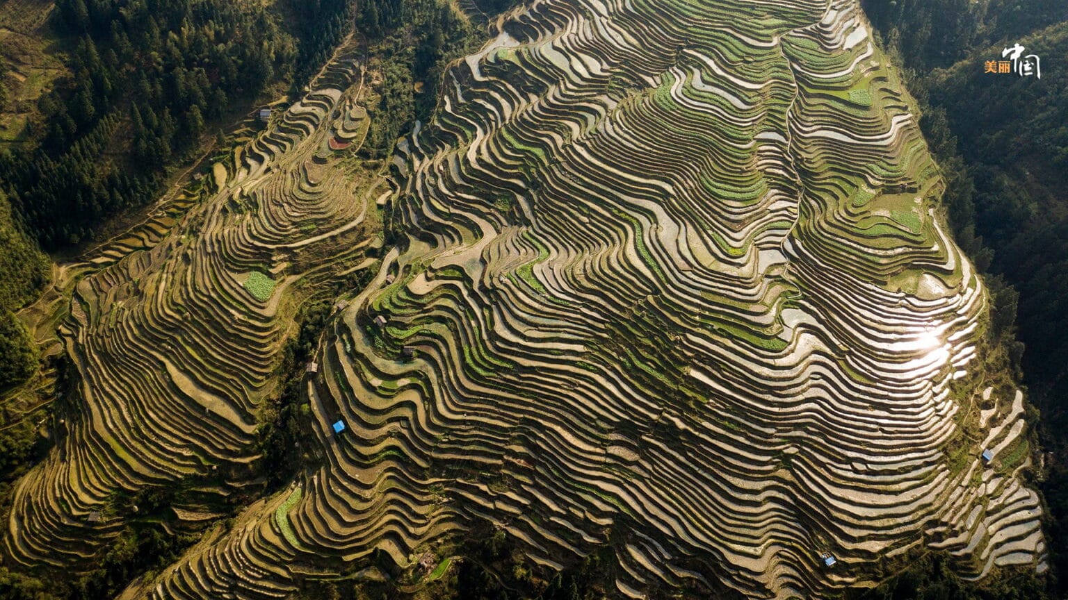 Complete Guide To Rice Terraces In China For Travelers 2026