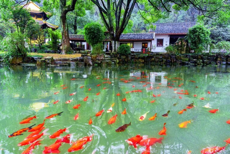 West Lake, Hangzhou,Zhejiang, China: Travel Tips & FAQs 2026