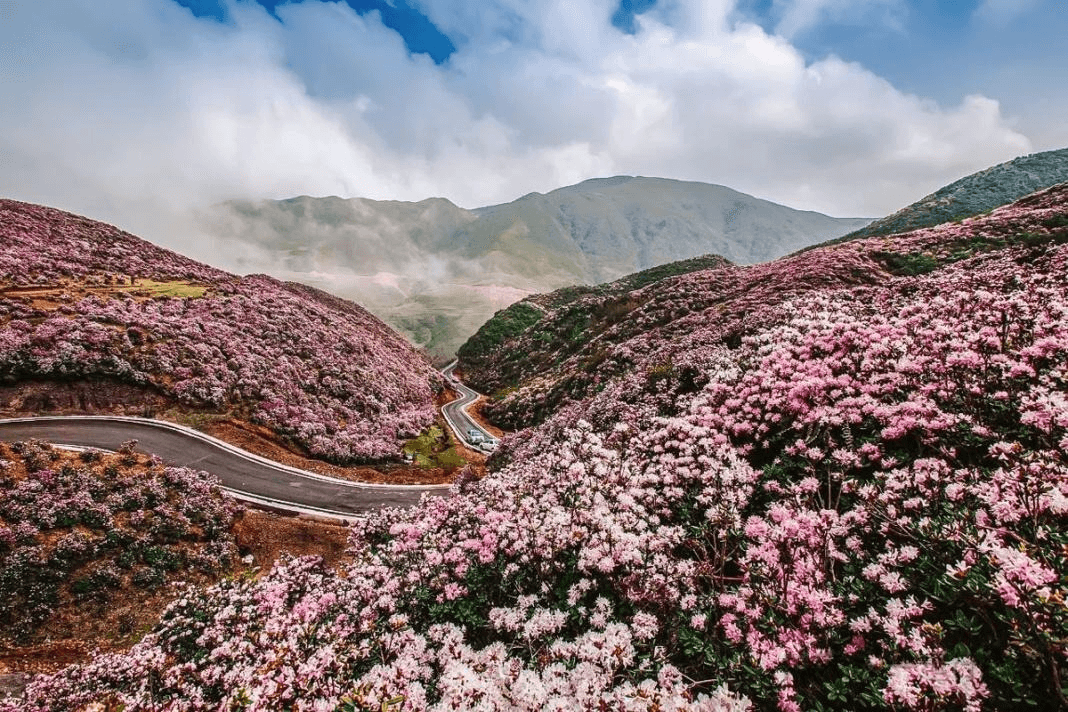 Travel China In April: Weather, Top Places To Visit & Tips