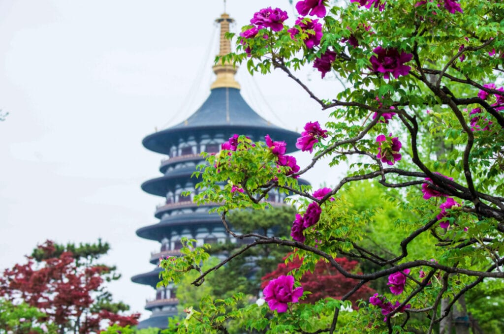 China Postal Code & Area Code Lookup